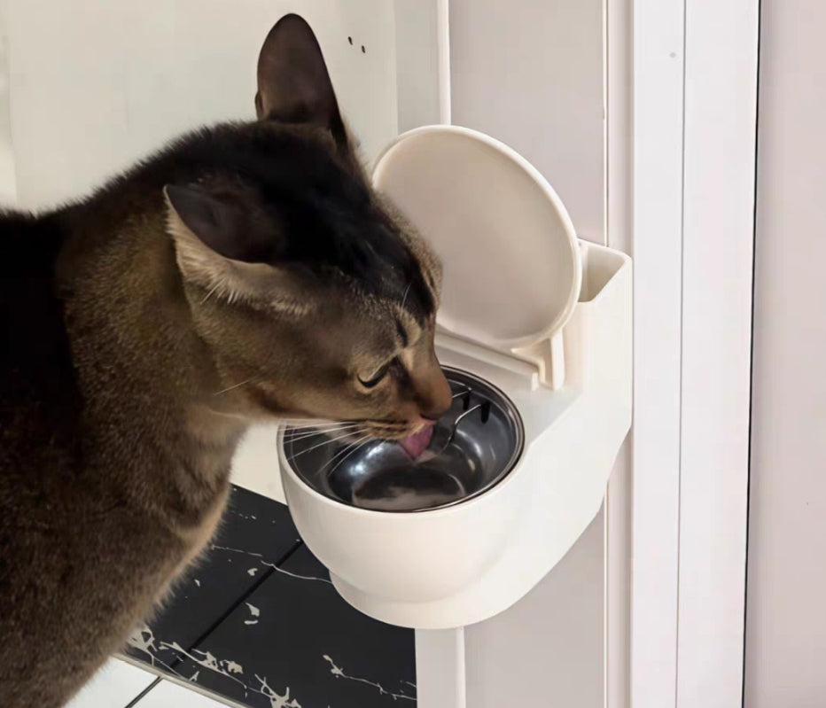 Novelty Toilet Cat Bowl - Wall-Mounted Funny Cat Food & Water Dish ...